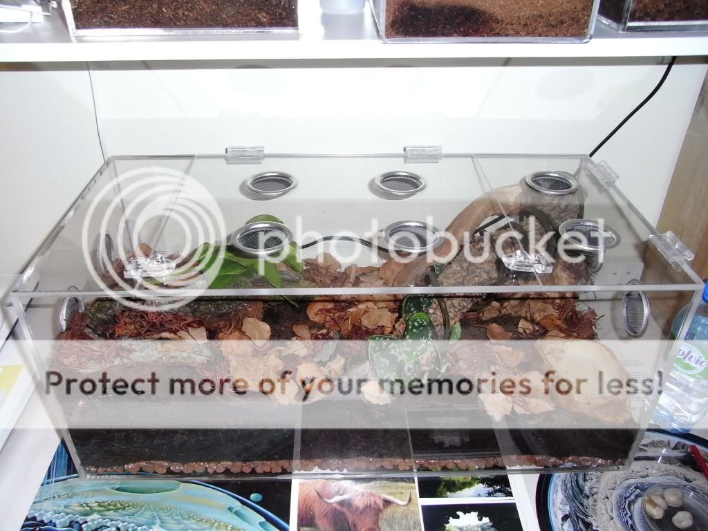 what vents for Perspex Tarantula enclosure | Reptile Forums